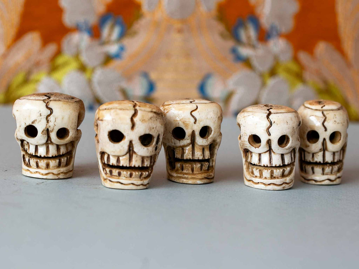 Citipati Head in Yak bone - Tibet Shop Sydney